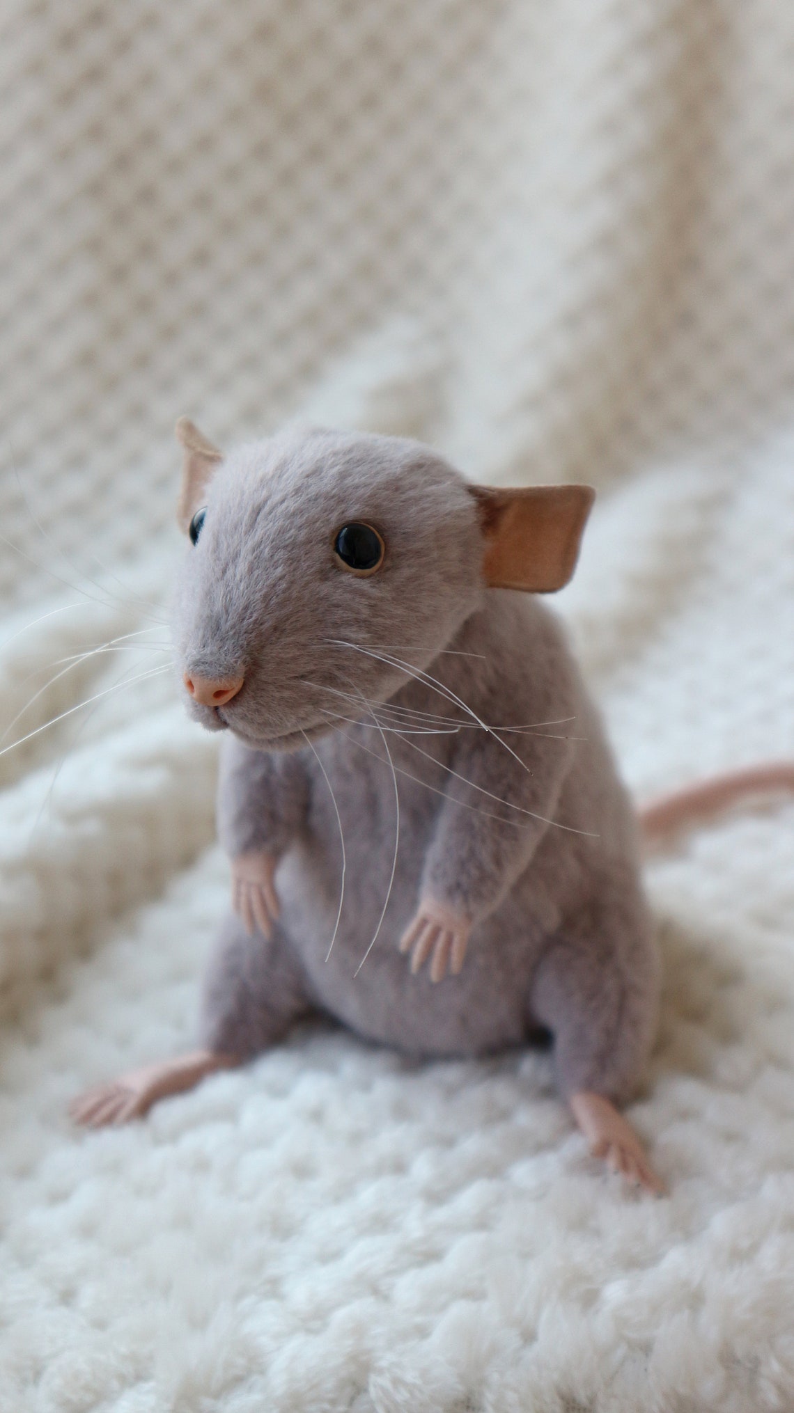 Made to order rat russian blue rat stuffed rat realistic | Etsy