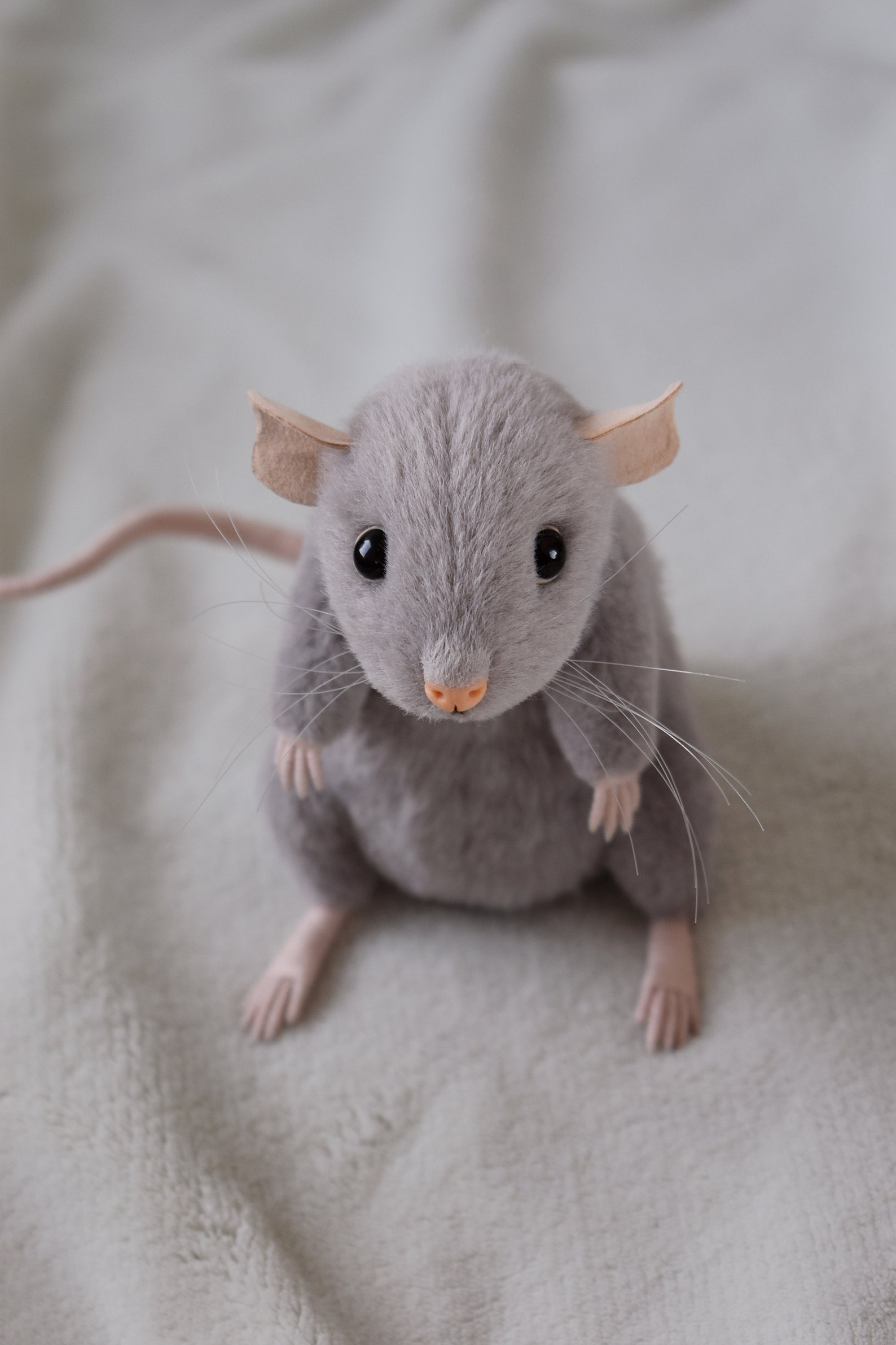 Made to Order Rat Russian Blue Rat Stuffed Rat Realistic - Etsy