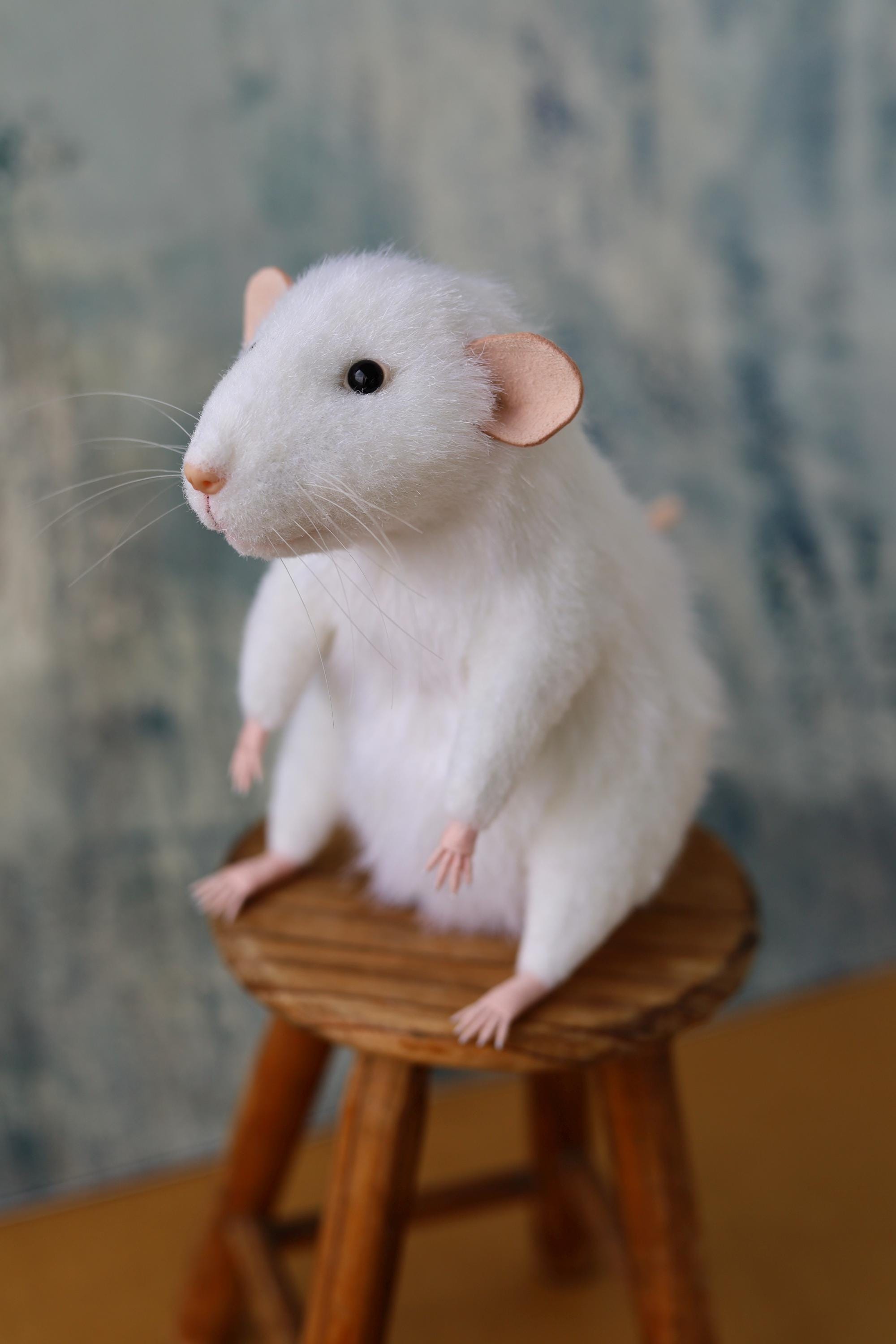 Made to Order White Rat, Soft Sculpture, Plush Mouse, Stuffed Rat ...
