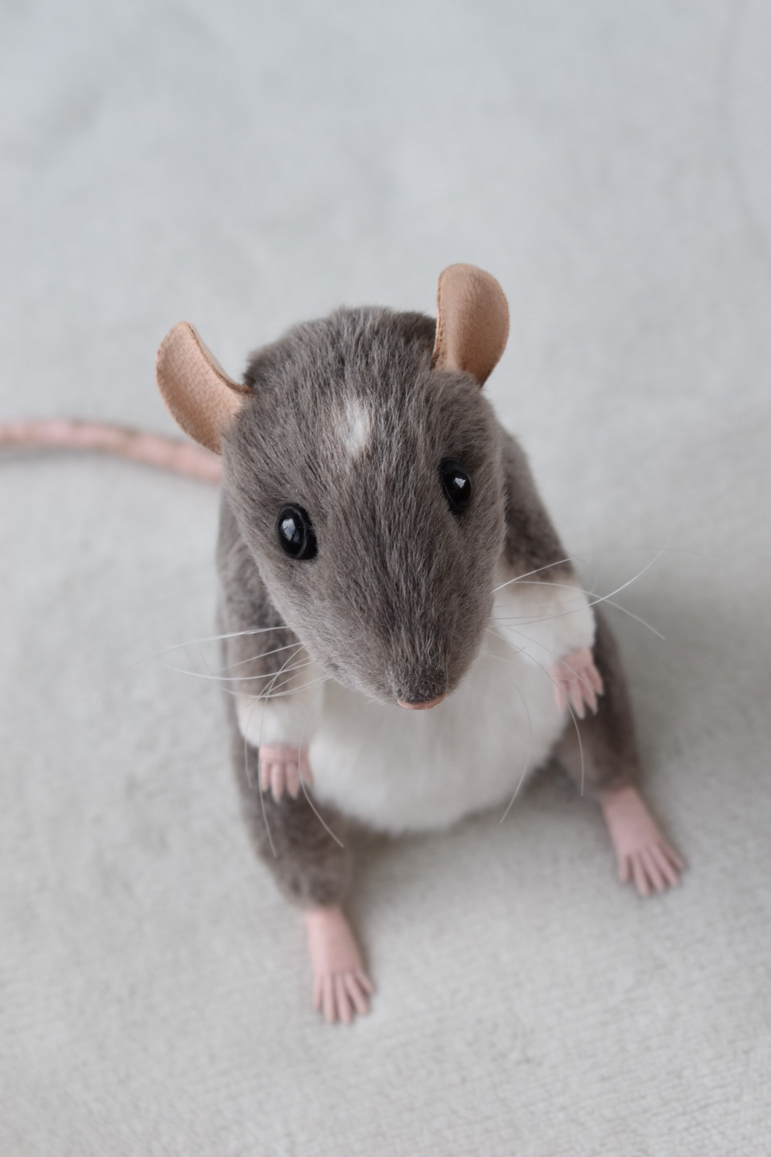 CUSTOM RAT PORTRAIT Made to Order Rats Personalized Plush - Etsy