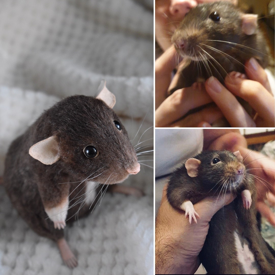 CUSTOM RAT PORTRAIT, Made to Order Rats, Personalized Plush Figurines ...