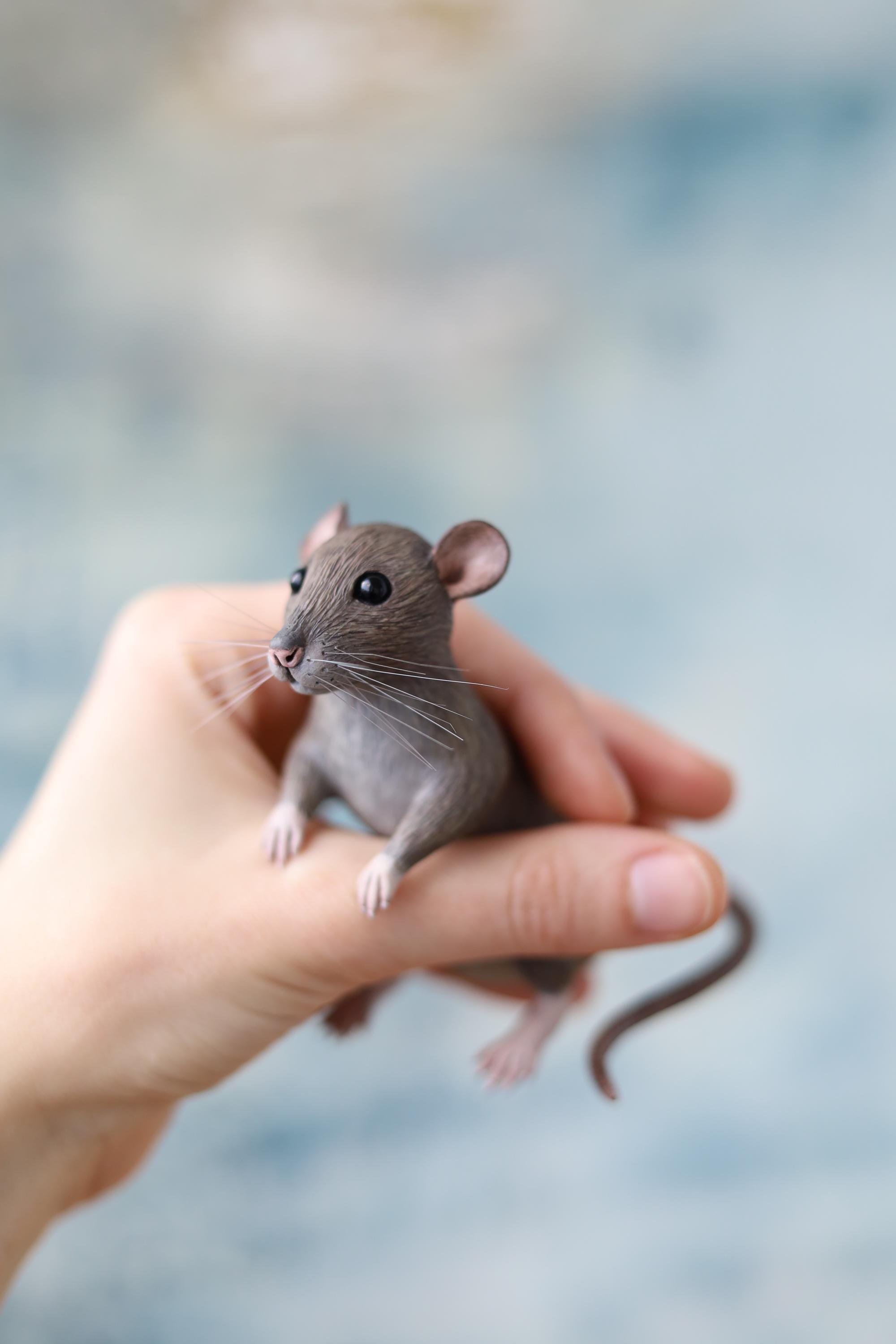 MOUSE FIGURINE, 3d Pet Copy, Rat Portrait, Rat Figurine, Polymer Clay ...