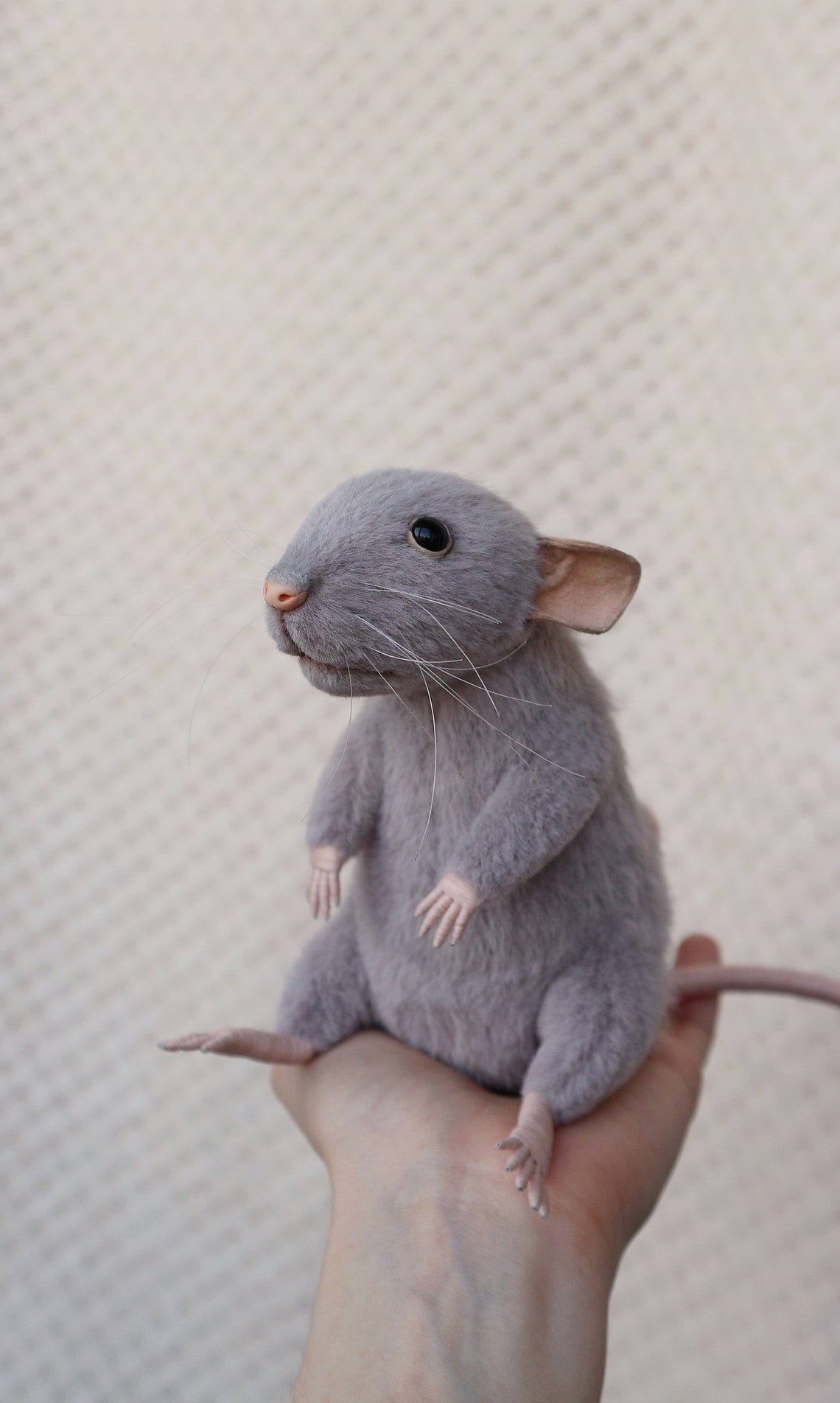 Made to order rat russian blue rat stuffed rat realistic | Etsy