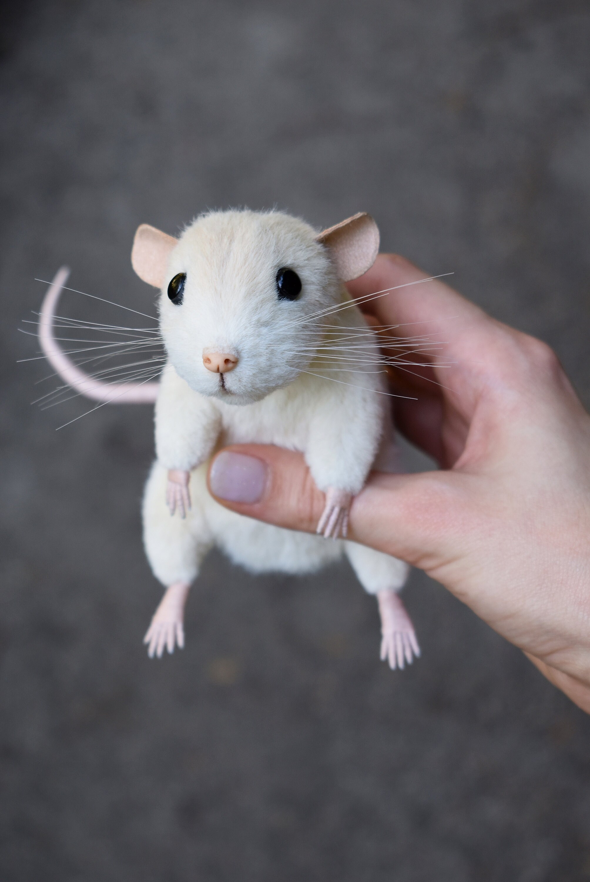 Made to Order Red Rat Plush Mouse Stuffed Rat Mini Pet - Etsy UK