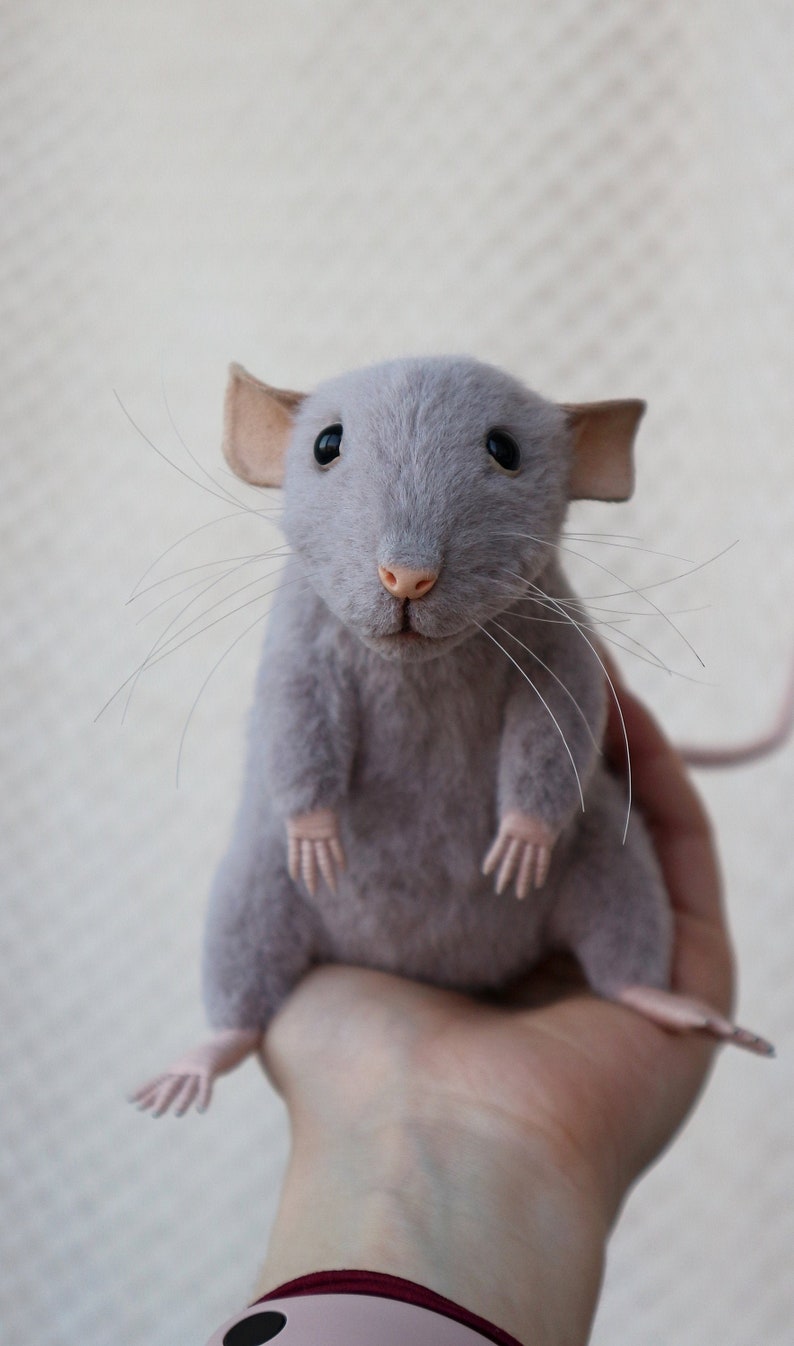 Made to Order Rat Russian Blue Rat Stuffed Rat Realistic - Etsy