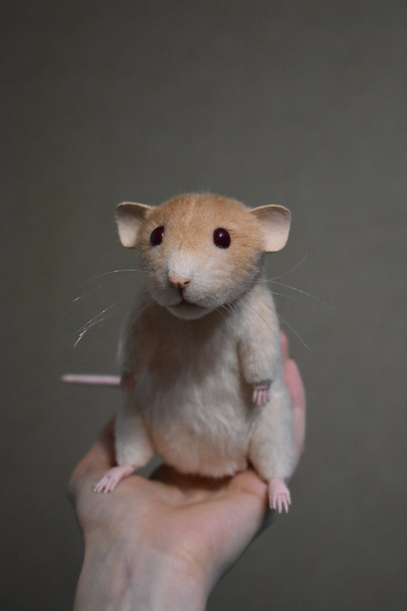 CUSTOM RAT PORTRAIT Made to Order Rats Personalized Plush - Etsy
