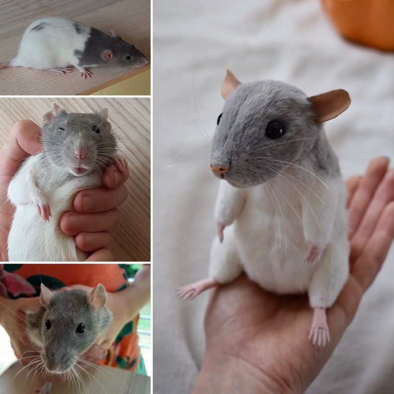 CUSTOM RAT PORTRAIT Made to Order Rats Personalized Plush - Etsy