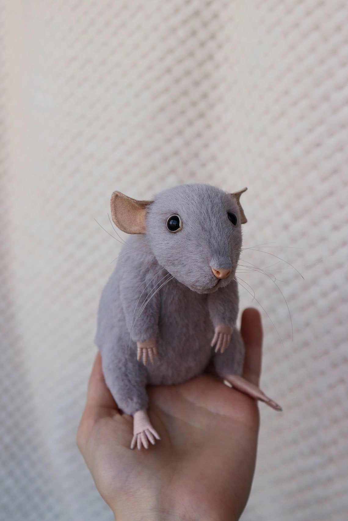 Made to order rat russian blue rat stuffed rat realistic | Etsy