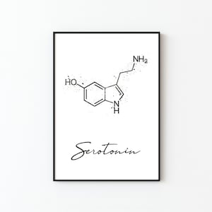 Serotonin Molecule Print Chemistry Molecule Wall Art - Etsy UK