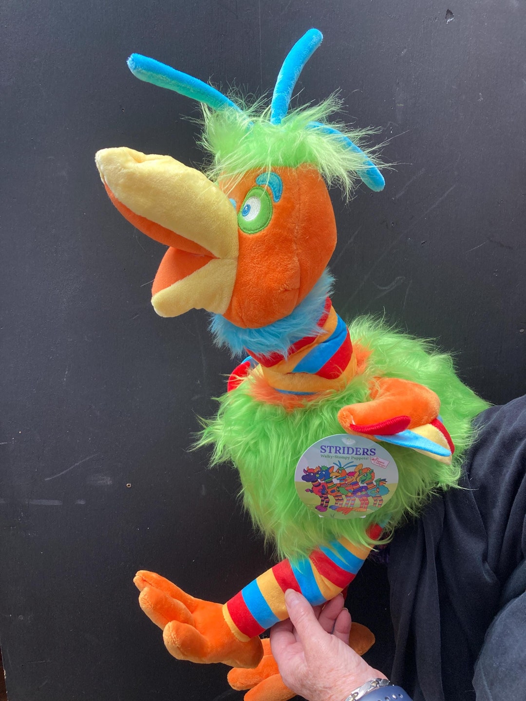 Very Large Rainbow Bird Emu Hand Puppet New With Tags Age 1 27 - Etsy UK