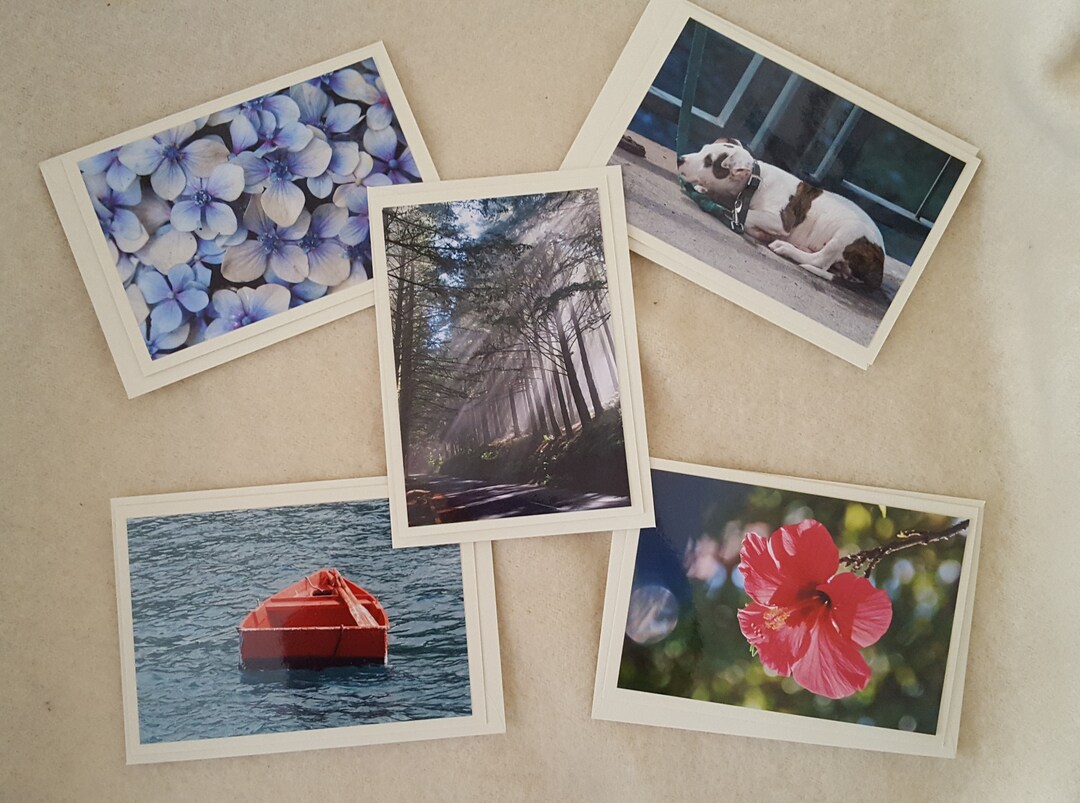 MADEIRA 5 Cards With Original Photos - Etsy