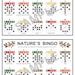 Collection "seasons" BINGO Card Patterns for Really Fun BINGO Games ...