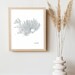 Map of ICELAND Ísland Volcanoes of Icelandcartography Poster Relief Map ...