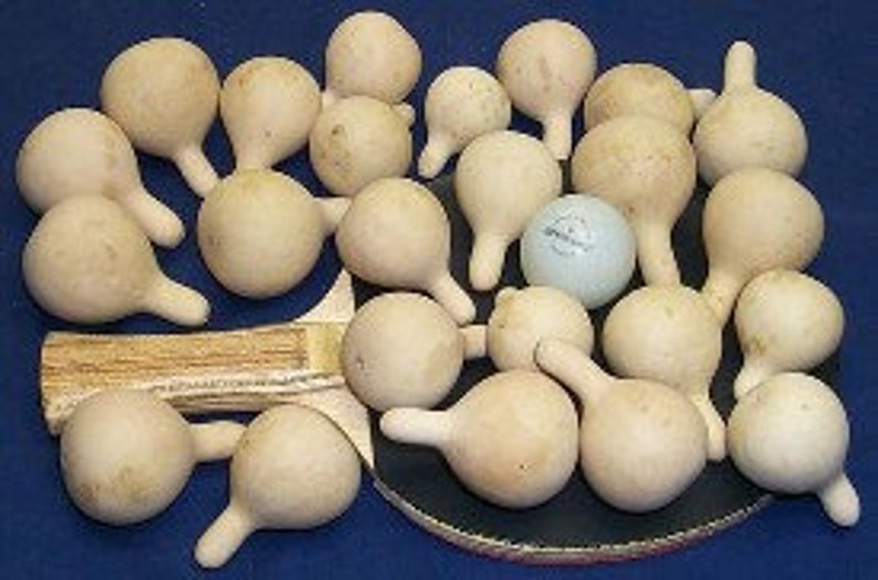 Box of 30 Spinner Gourds, Dried and Cleaned - Etsy