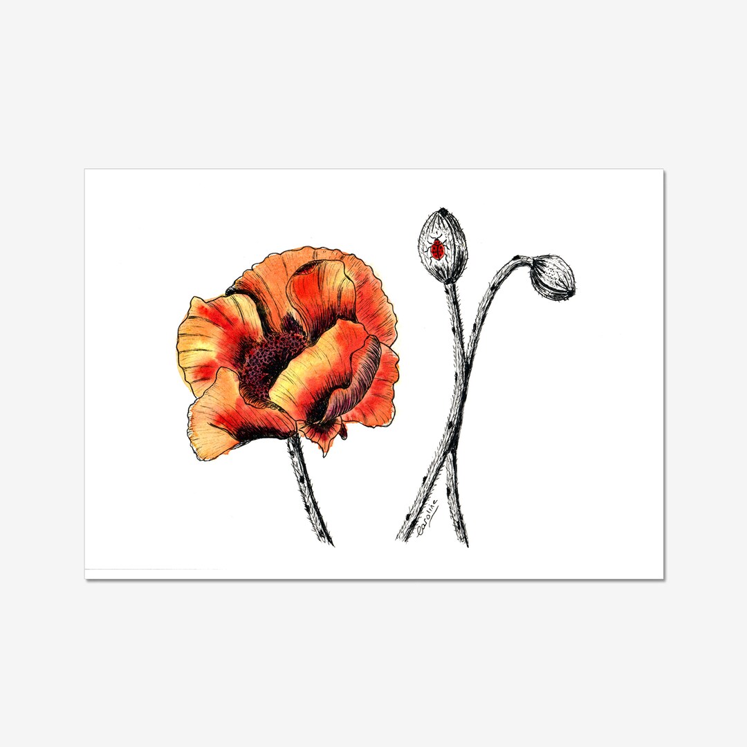 Printable Poppy Wall Art Digital Download A4 Art Print - Etsy
