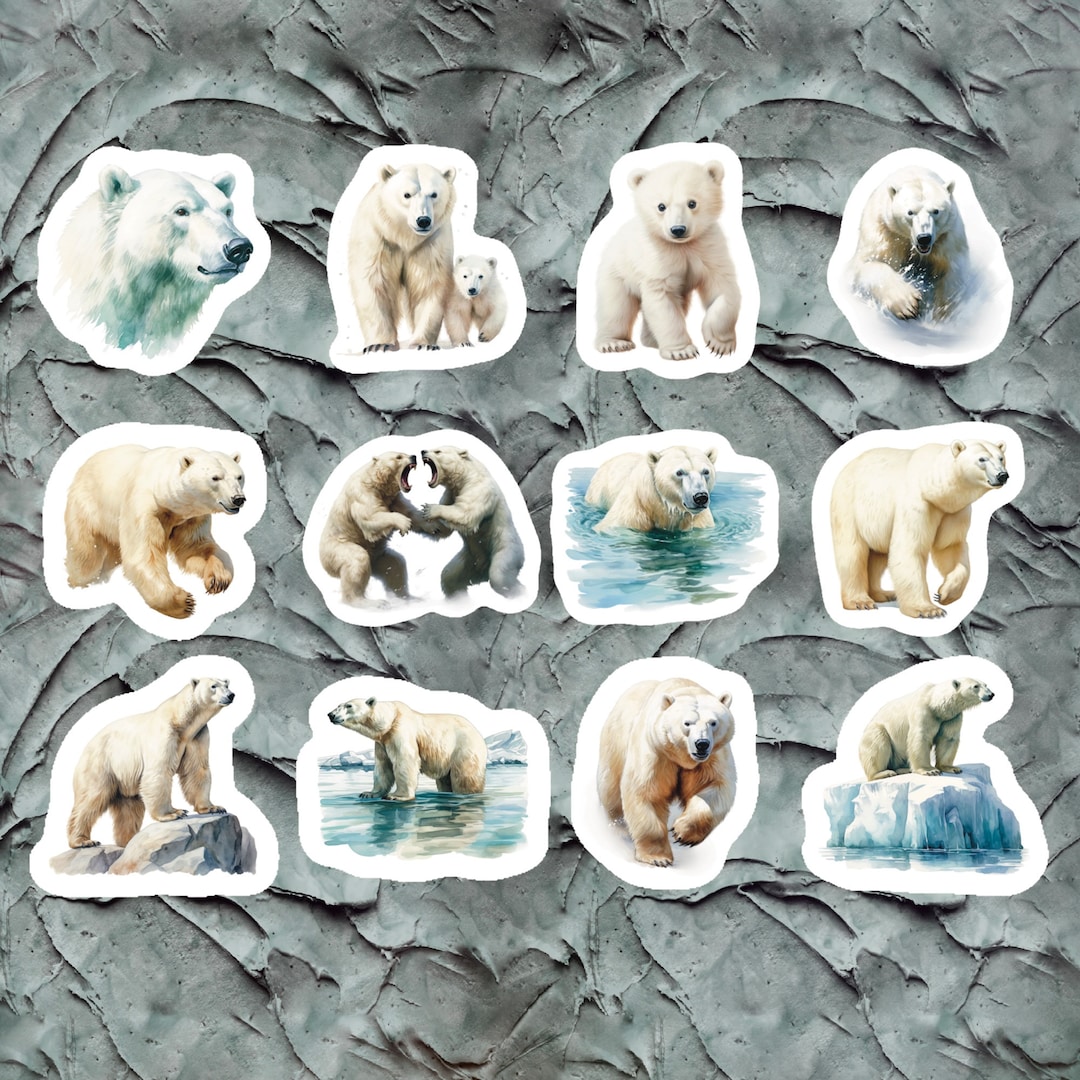 Polar Bear Stickers, Set of 24 Stickers, Bear Stickers, Baby Bear ...
