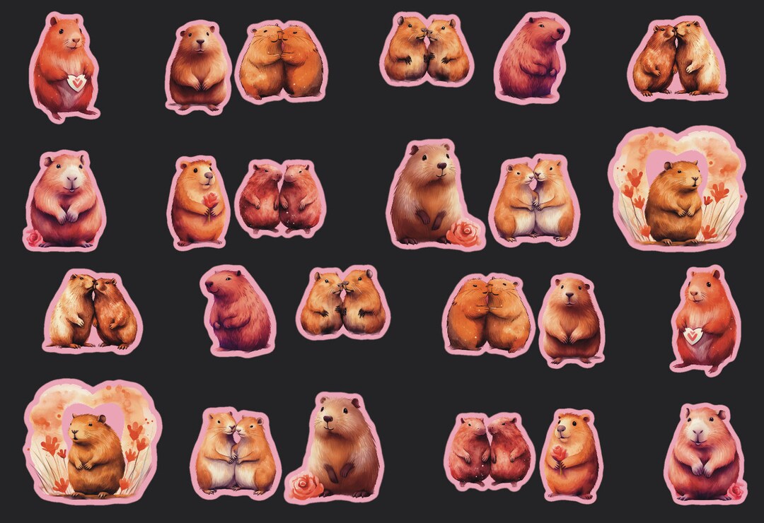 Capybara Stickers, Set of 24 Stickers, Journal Sticker, Valentine ...