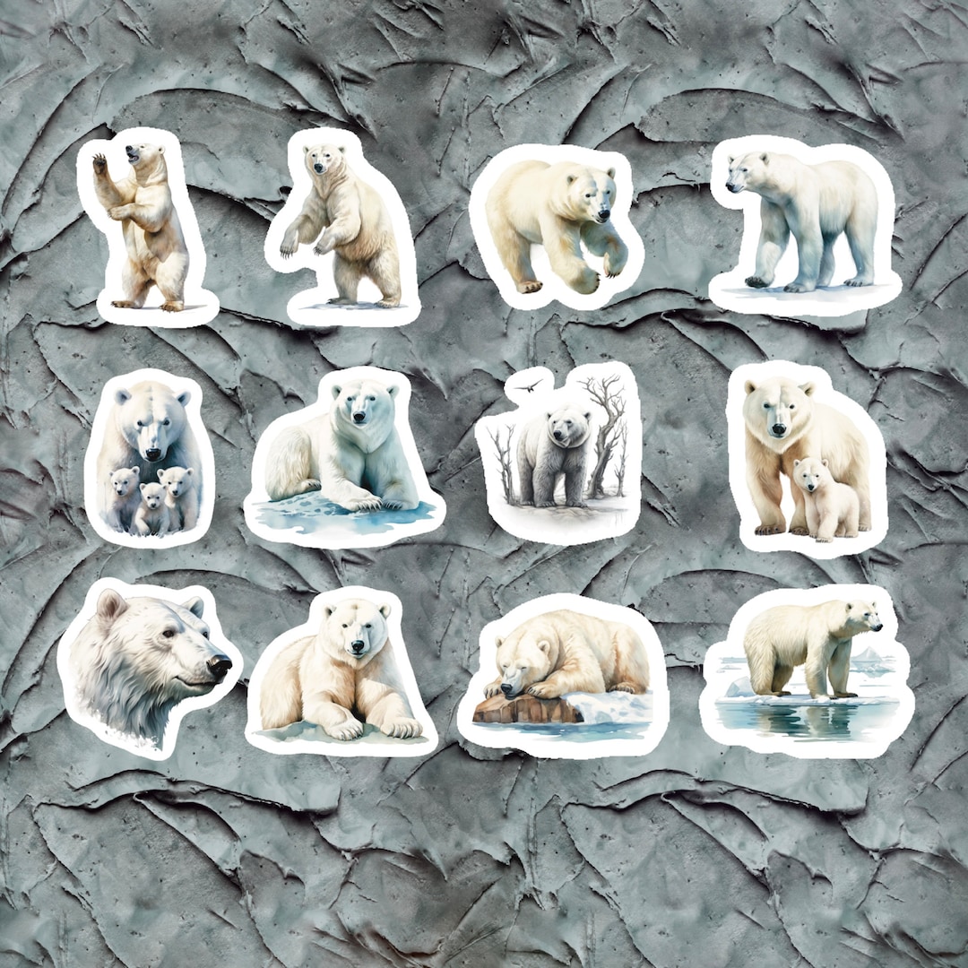 Polar Bear Stickers, Set of 24 Stickers, Bear Stickers, Baby Bear ...