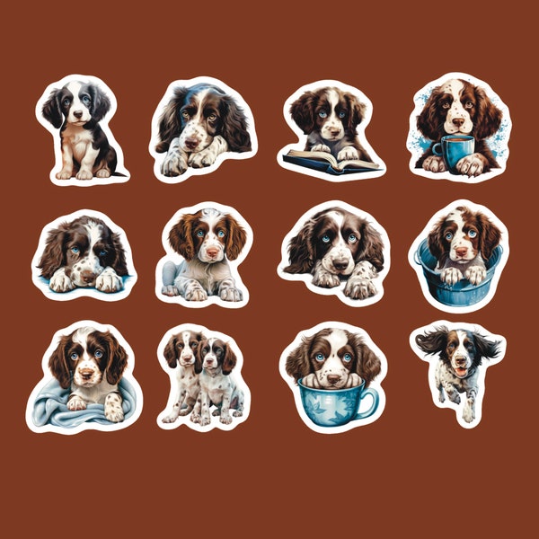Cocker Spaniel Decal - Etsy