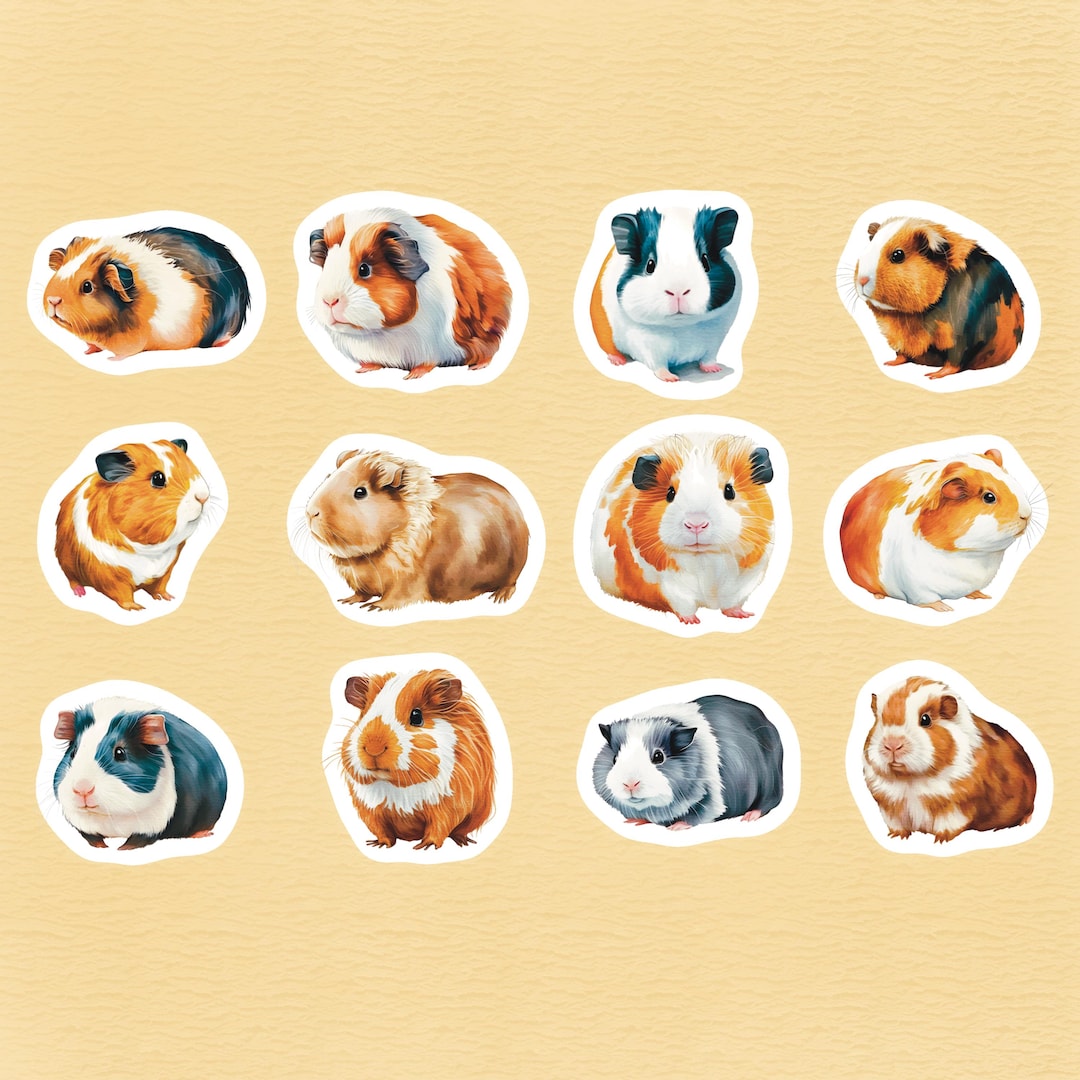Guinea Pig Set of 24 Stickers, Sticker, Journal Sticker, Die Cut, Cute ...