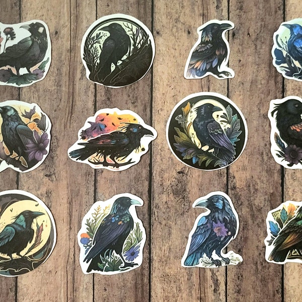 Raven Black Bird - Etsy