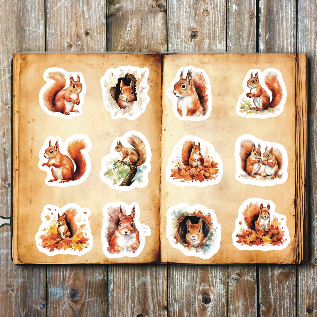 Squirrel Stickers, Set of 24 Stickers, Squirrels, Squirrel in Tree ...