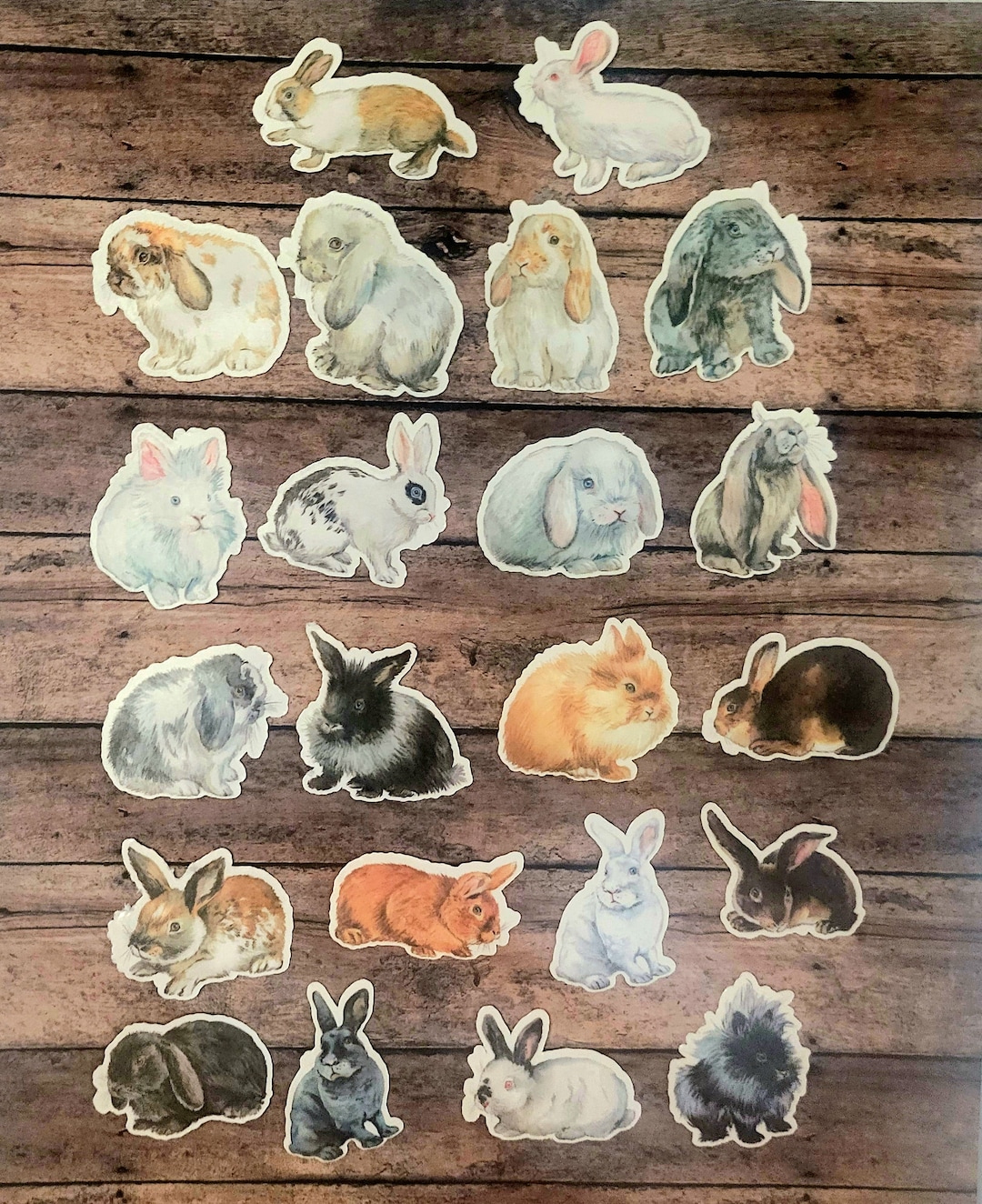 Bunny Rabbit Stickers, Set of 22 Stickers, Sticker, Journal Sticker ...