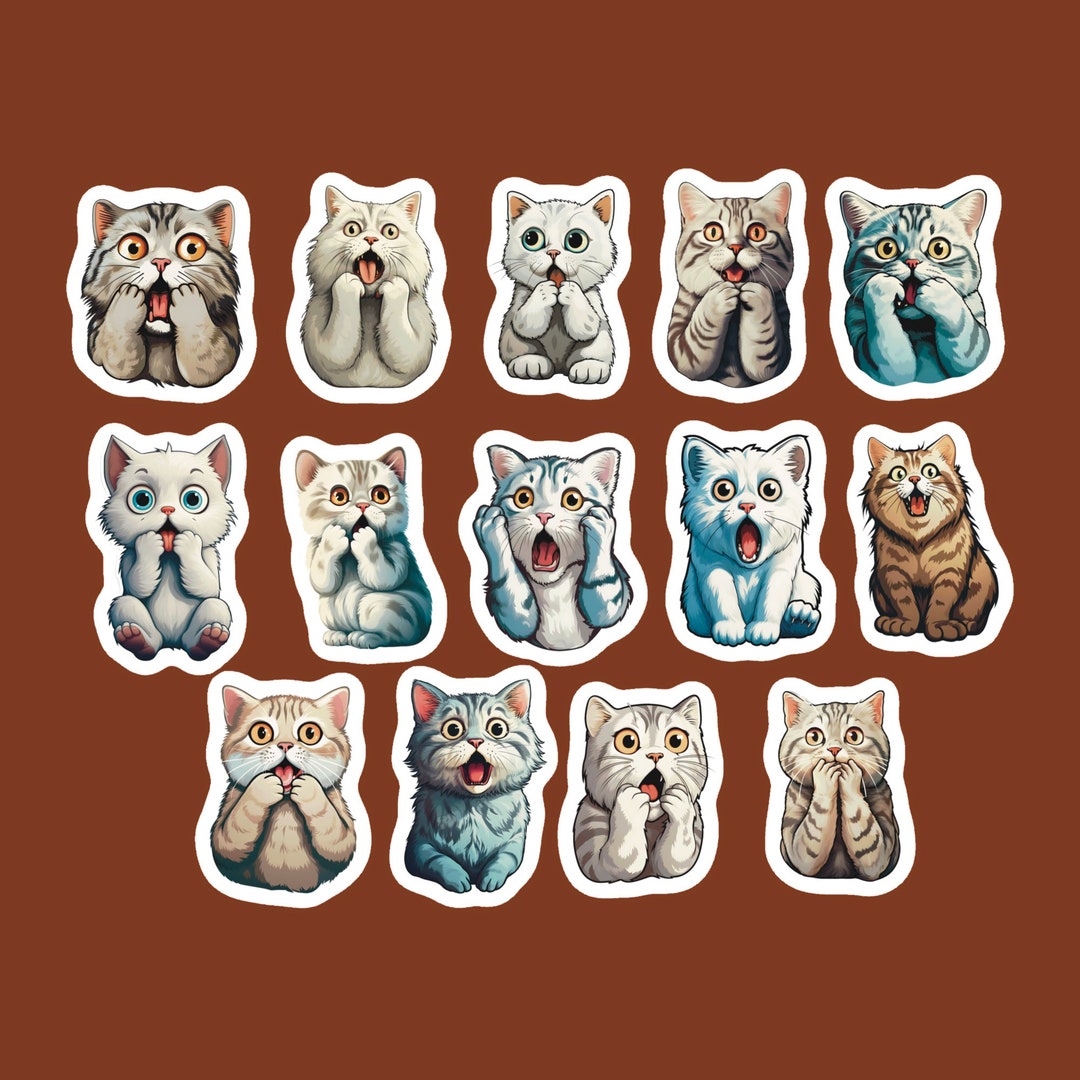 Surprised Cat Stickers, Set of 28 Stickers, Cat Sticker, Surprised ...