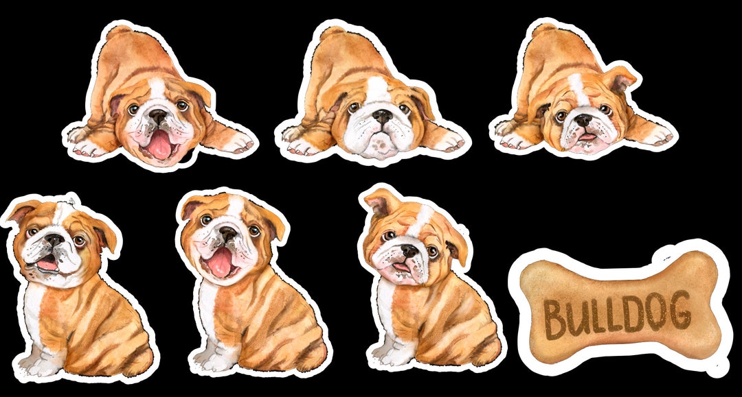 Bulldog Stickers, Waterproof Journal Stickers (set of 21) - Etsy