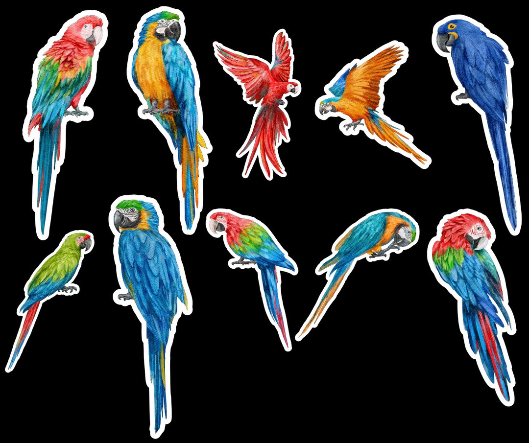 Parrot and Mccaw, Set of 20 Stickers, Sticker, Journal Sticker, Die Cut ...
