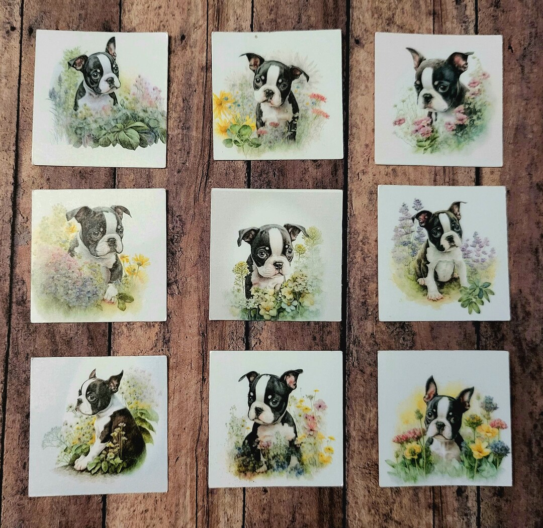 Boston Terrier, Set of 27 Stickers, Sticker, Journal Sticker, Die Cut ...