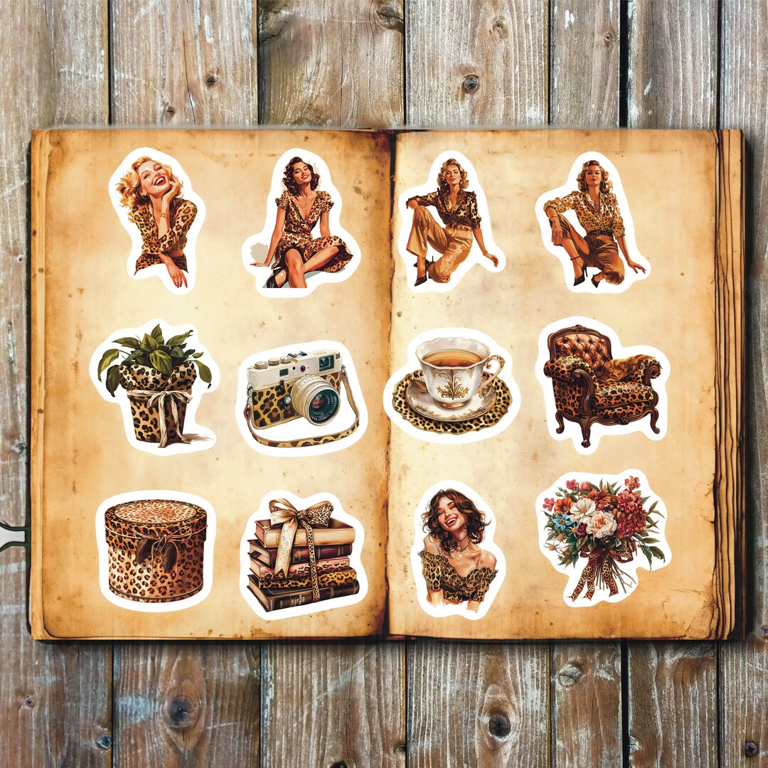 Vintage Leopard Cheetah Stickers, Set of 24 Stickers, Cheetah Stickers ...