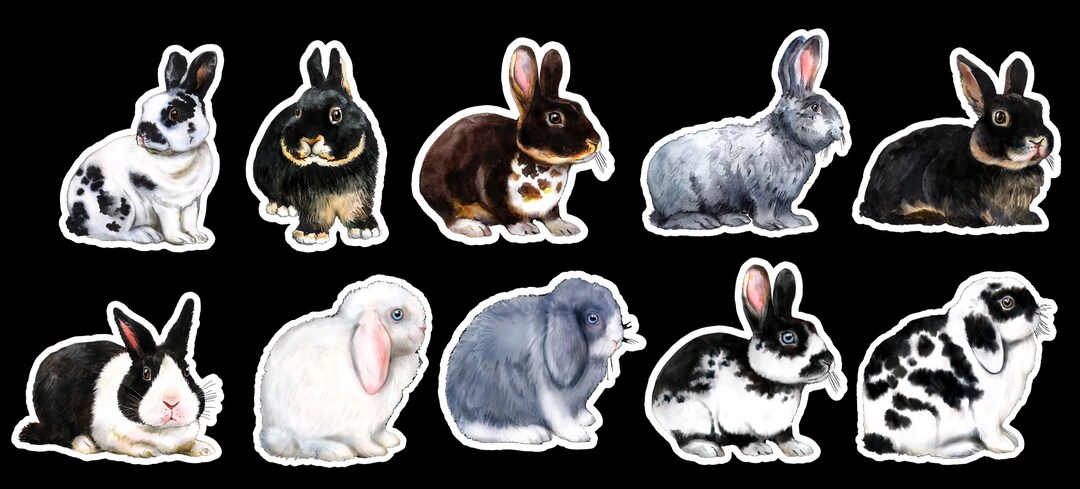 Real Rabbit, Set of 20 Stickers, Sticker, Journal Sticker, Die Cut ...