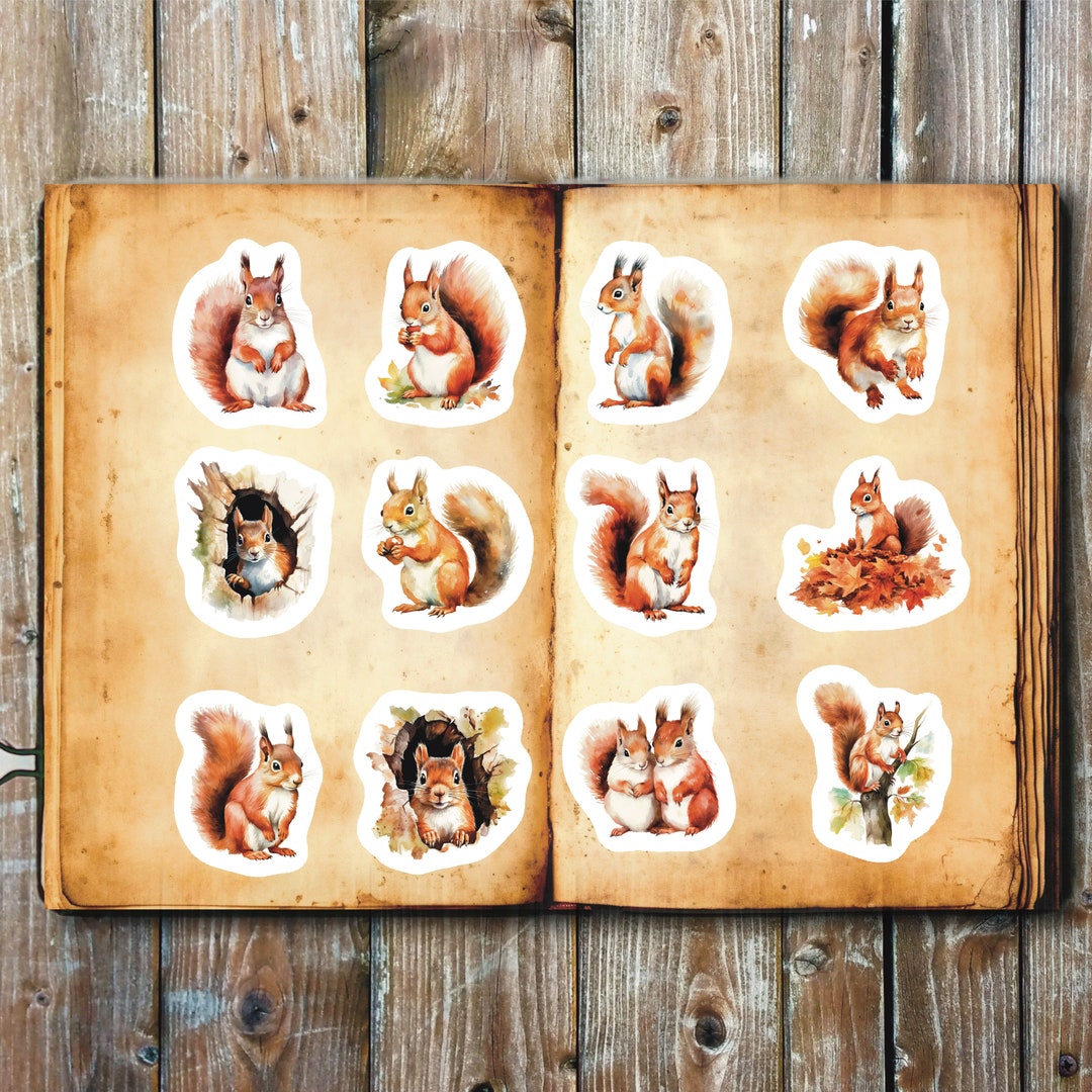 Squirrel Stickers, Set of 24 Stickers, Squirrels, Squirrel in Tree ...