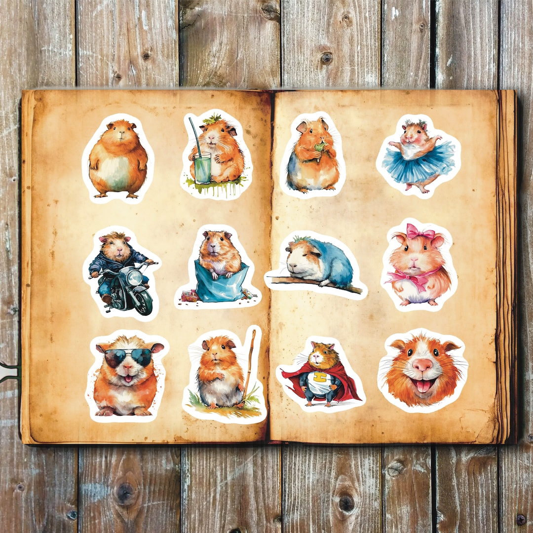 Funny Hamster Stickers, Set of 24 Stickers, Fat Hamster Sticker ...