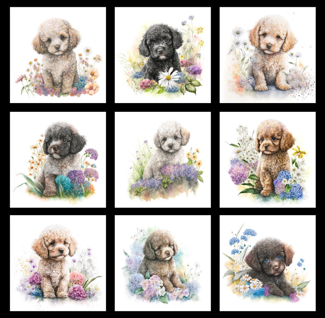 Poodle, Set of 27 Stickers, Sticker, Journal Sticker, Die Cut Stickers ...