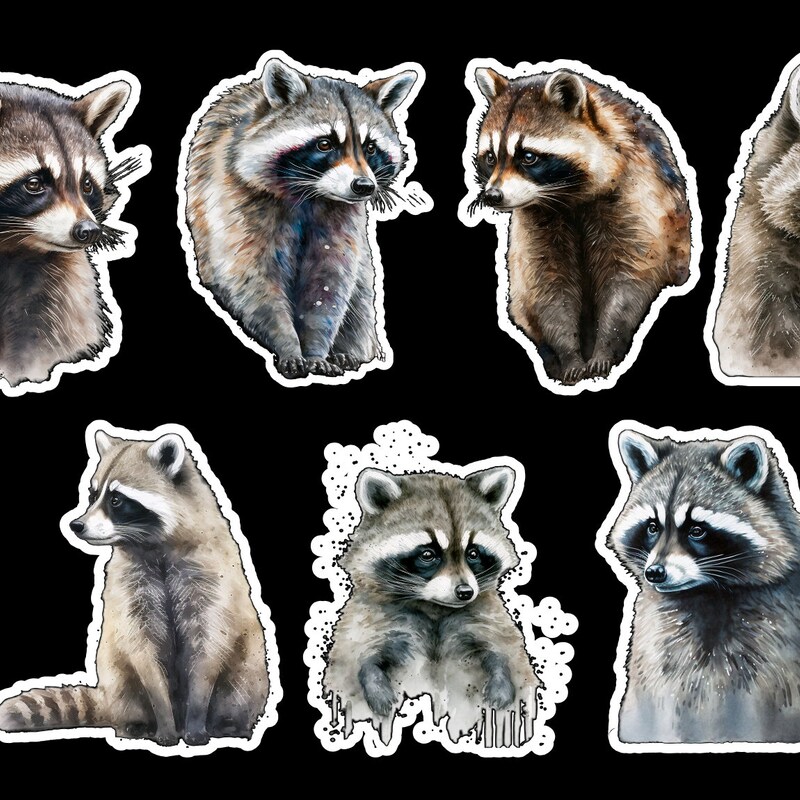 Trash Panda Stickers - Etsy