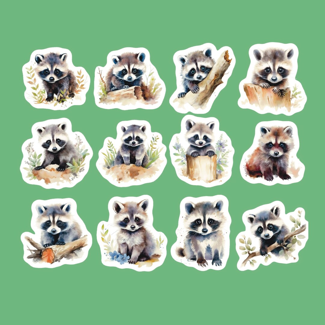 Watercolor Raccoon Stickers, Set 24 Stickers, Watercolor Stickers ...