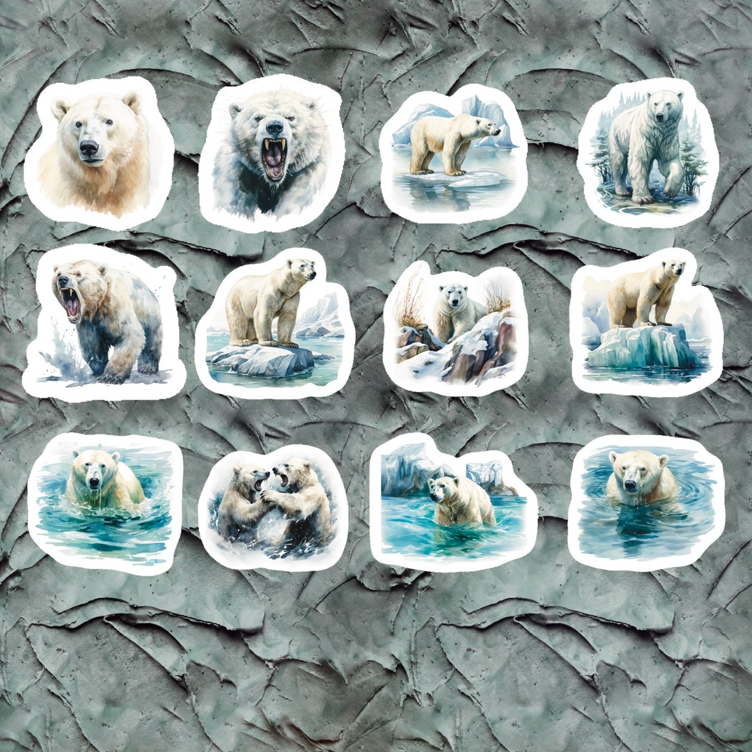 Polar Bear Stickers, Set of 24 Stickers, Bear Stickers, Baby Bear ...