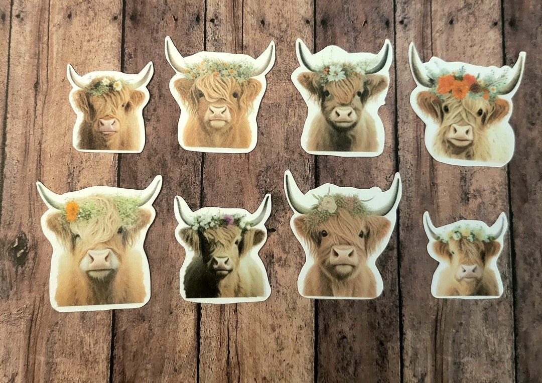 Highland Cow Magnets, Set of 8 Magnets, Magnet, Cow Decor, Cows, Cow ...
