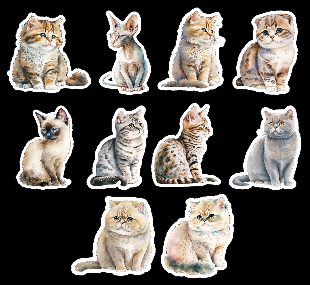 Cat Sticker, Fat Cat, Hairless Cat, Set of 20 Stickers, Sticker ...