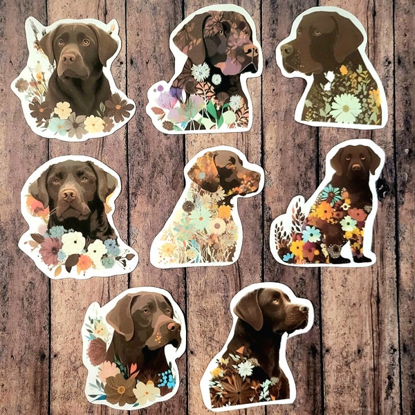 Chocolate Labrador - Etsy