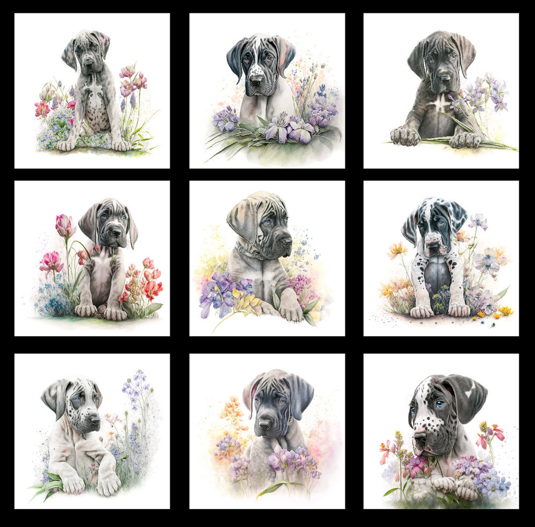 Great Dane, Set of 27 Stickers, Sticker, Journal Sticker, Die Cut ...