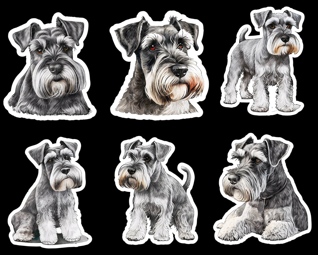 Miniature Schnauzer Stickers Set of 24 Stickers Sticker - Etsy
