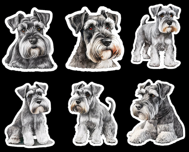 Miniature Schnauzer Stickers Set of 24 Stickers Waterproof - Etsy