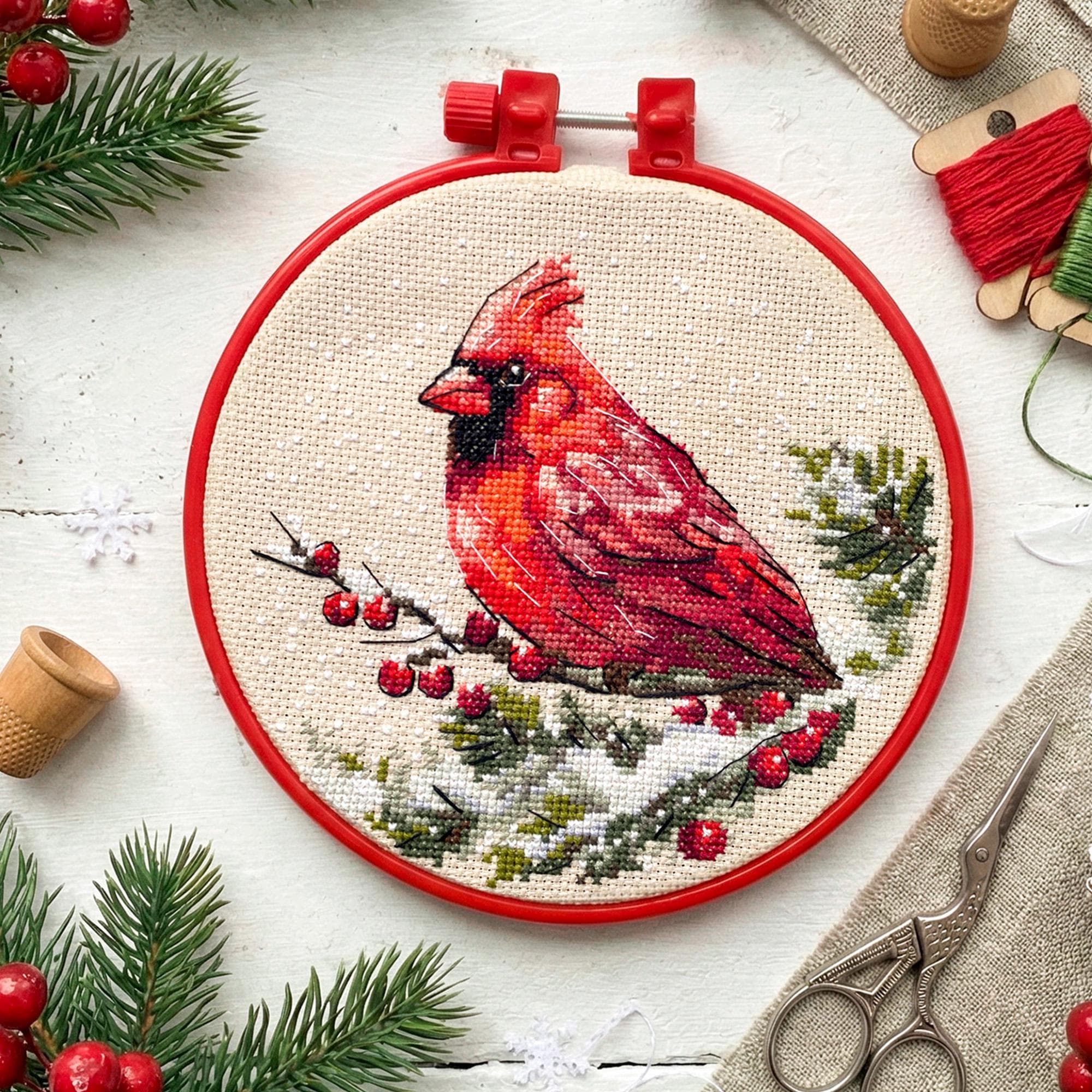 DIY Cross Stitch Kit Cardinal Bird, Embroidery Kit With Plactic Hoop ...