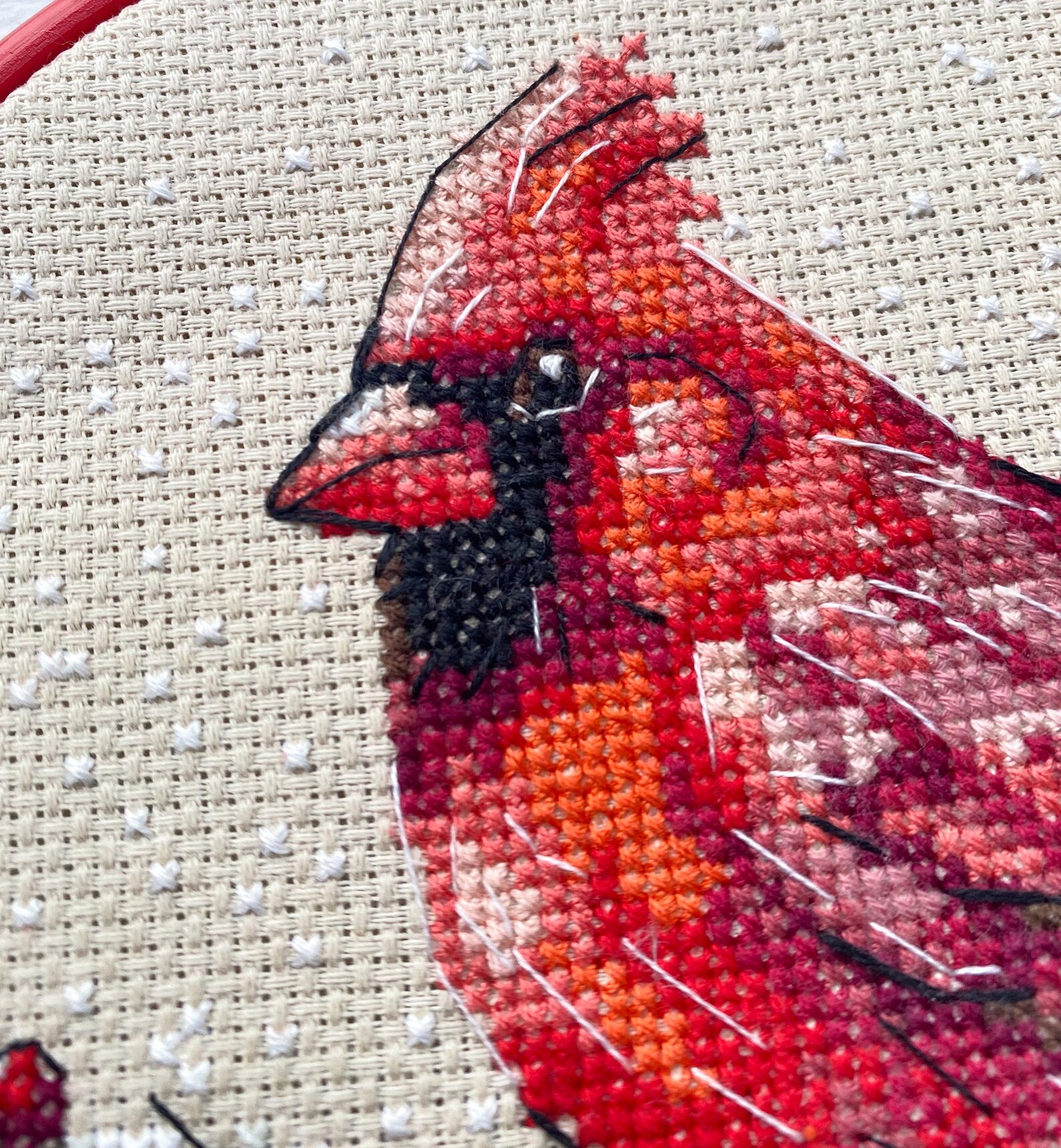 DIY Cross Stitch Kit Cardinal Bird, Embroidery Kit With Plactic Hoop ...