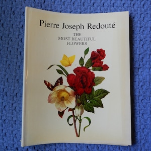 Redoute Flowers ROSE ROSA Botanical Art Print Illustration Plate 117 - Etsy