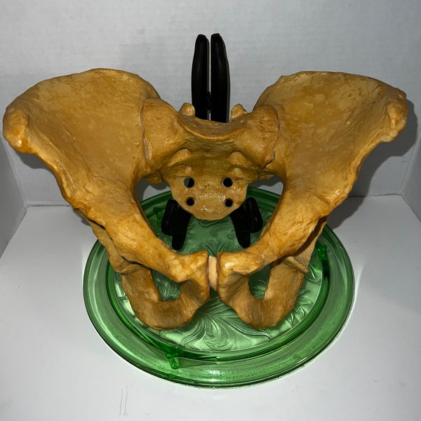 Skeleton Oddities - Etsy