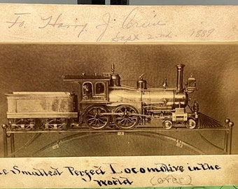 Still Life Model - Etsy